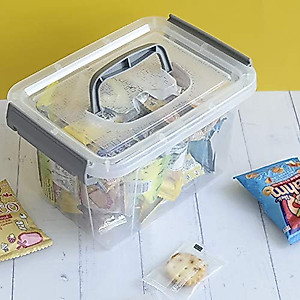 Farmoon 3.5 Quart Clear Storage Bin, Small Plastic Stackable Box/Cotainer with Lid and Grey Handle, 6 Packs