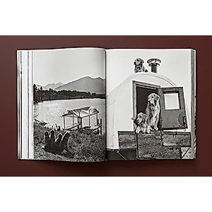 The Golden Retriever Photographic Society