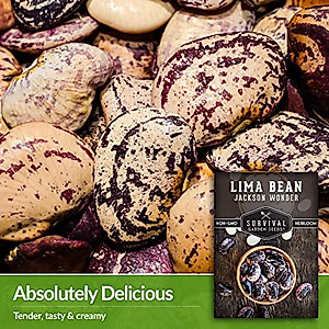 Survival Garden Seeds - Jackson Wonder Lima Seed for Planting - 2 Packs with Instructions to Plant and Grow Purple Speckled Butter Beans in Your Home Vegetable Garden - Non-GMO Heirloom Variety