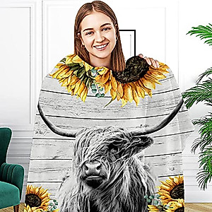 Highland Cow Blanket Super Soft Flannel Sunflower Cow Throw Blanket Warm Lightweight Blanket for Adults Kids Gifts 50"X40"