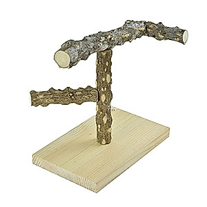 GUANLANT Wood Bird Table Perch Parrot Play Stand，Parakeet Perch Toy Multi Branch Cockatiel Perches Stand, Bird Cage Stand Play Station, Conure Playground for Finches Lovebirds Senegal Parrotlet