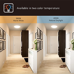 DYMOND LED Ceiling Light Flush Mount 10 Inches | Dimmable | Ring | 3000K/4000K (3000K Warm White, 10 inches)