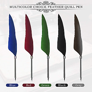 Quill Pen and Ink Set, Antique Feather Dip Calligraphy Pen Set, including Feather Pen, 5 Replacement Nibs, Pen Nib Base, Notebook, Ink, Gift Box, Best Gifts for Men Dad (Grey)