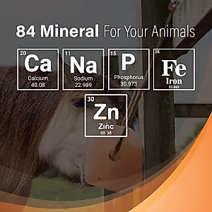 Yield Titan Himalayan Pink Salt 14 LB, Salt Licks for Animals Licking Block for Horses, Cows, Deer, and Other Livestock - Rope Included 3.5Lbs Each(4 Qty)