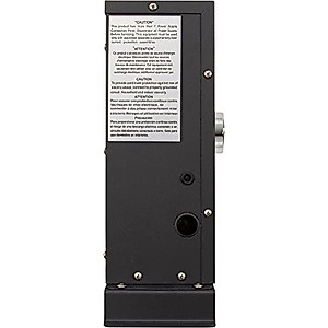 Raypak DGTL ELEC SPA HTR 5.5KW 240V 017121