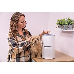 Equator HEPA Air Purifier with PET Option 269sf 110V