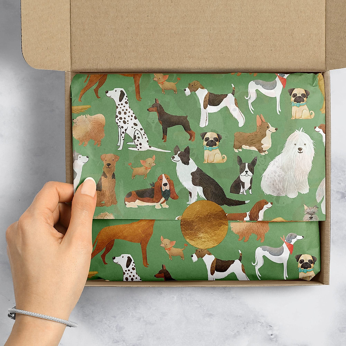 Jillson & Roberts 20" x 30" Printed Gift Tissue for Birthdays, Wine Bags, Weddings, Best in The Show Green, 24 Folded Sheets