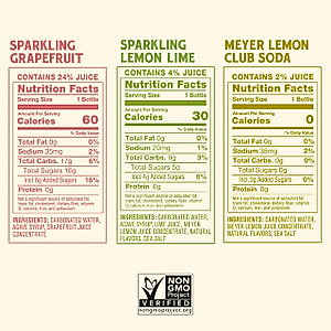 Betty Buzz Premium Sparkling Soda Citrus Variety Pack by Blake Lively (12 pack), Sparkling Grapefruit, Sparkling Lemon Lime, Meyer Lemon Club Soda | Real Juice, Natural Flavors, Only Clean Ingredients