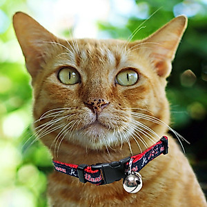 MLB CAT COLLAR. - ATLANTA BRAVES CAT COLLAR. - Strong & Adjustable BASEBALL Cat Collars with Metal Jingle Bell