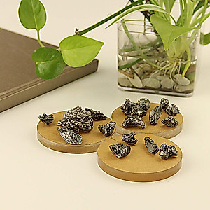 Large Massive Meteorite Specimen, Campo Del Cielo Meteorite with Gift Box, Moon Rock Sample, Astronomy Gifts for Space Fans, Great for Science Classrooms, Rocks, Minerals Collection