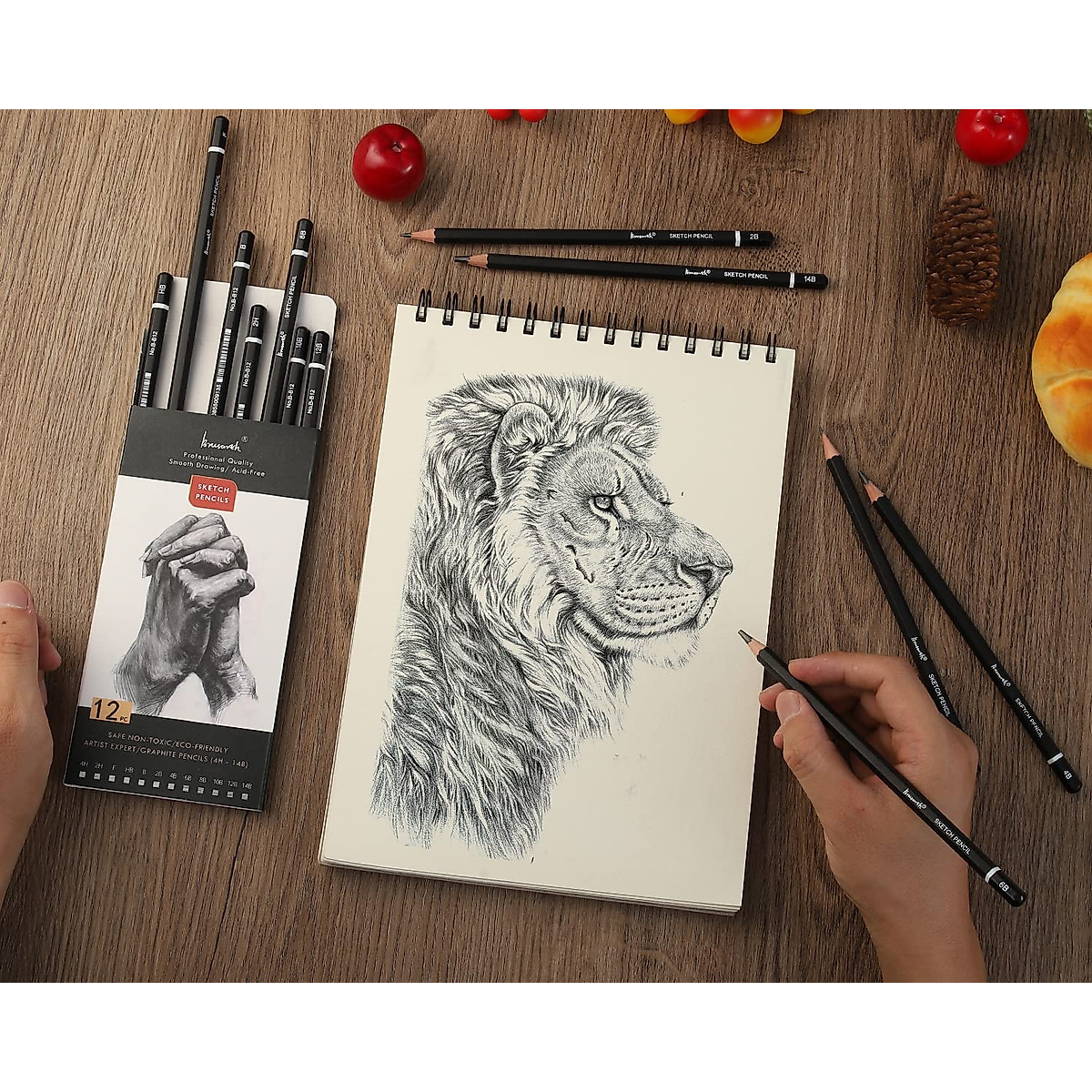 Brusarth Sketch Pencils for Drawing Set - 12 Pieces Drawing Sketching Pencil (14B - 4H), Graphite Pencils for Drawing, Sketching, Shading, Artist Pencils for Beginners & Pro Artists