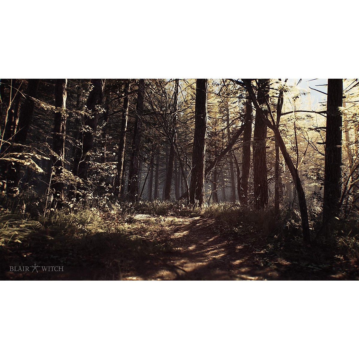 Blair Witch (PS4)