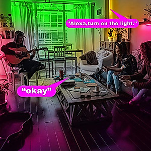 phopollo 100ft Led Lights for Bedroom Sync with Music, Led Strip Lights Compatible with Alexa and Google Home