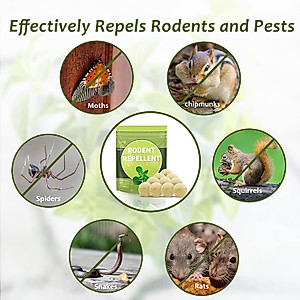 Cadorabo Mouse Repellent, Rodent Repellent Peppermint Oil to Repel Mice and Rats, Mice Repellent for House Squirrel Repellent for Attic Garage RV, Effective and Long Lasting 10 Pack Indoor&Outdoor Use