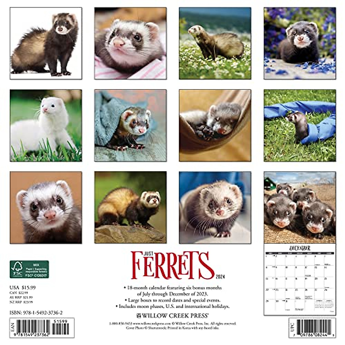 Willow Creek Press Ferrets Monthly 2024 Wall Calendar (12" x 12")