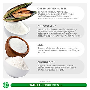 Glucosamine for Cats - 4.23oz/120g Powder - Hip and Joint Supplement for Cats with Green Lipped Mussel, MSM, Chondroitin, and Vitamin E (for Cats)