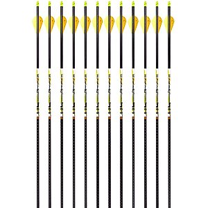 Carbon Express D-Stroyer SD Hunting Arrow Shafts, 12-Pack, Small Diameter .203”ID, High Modulus Carbon Weave, Dual Spine Weight Forward Technology, Laser Checked, Length 31.5” - 300, 350 or 400 Spines