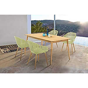 Armen Living Nassau Outdoor Patio Arm Dining Chairs, 17" Seat Height, Set of 2, Eucalyptus and Sage Green