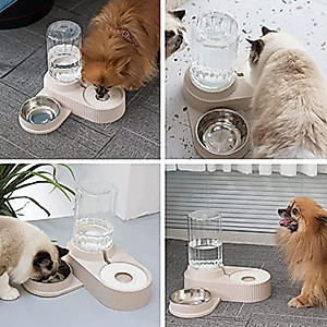 Fashion Fun Automatic Pet Feeder and Water Dispenser 60OZ/1.8L