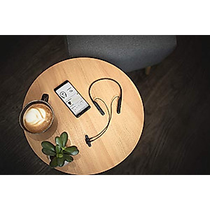 Sony WI-C600N Wireless Noise Canceling in-Ear Headphones, Black (WIC600N/B) (WI-C600N/B)