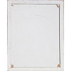 Multicolor Flowers III