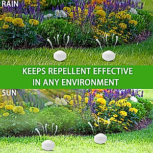 Motrapso 12 Pack Keep Snakes Away Balls for Outdoors Indoor, Natural Snakes Balls for Snakes Rats and Other Pests, Used in Yard Lawn Garden Camping Fishing, Safe for Human, Pet, Snakes and Plants