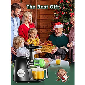 Juicer Machines, HOUSNAT Professional Celery Slow Masticating Juicer Extractor Easy to Clean, Cold Press Juicer with Quiet Motor and Reverse Function for Fruit & Vegetable, Brushes & Recipes Included, Black