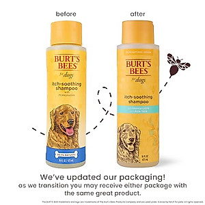 Burt's Bees for Pets Itch Soothing Dog Shampoo with Honeysuckle and Aloe Vera - Cruelty Free, Fragrance Free Dog Anti Itch Shampoo for Sensitive Skin, Dry Skin Relief for Dogs, 16 Fl Oz