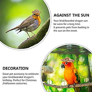 balacoo 6pcs Parrot Birds Straw Woven Hat Funny Mini Size Bamboo Hat Cockatiel Parakeets Canary Conure Party Head Wear for Parrot Parakeet Bearded Dragons