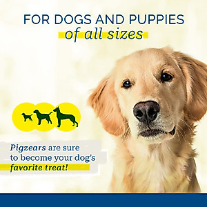 PCI Pet Center Inc. Pigearz 10ct - Natural
