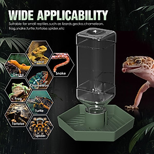 Reptile Water Dispenser-7.5 oz(250ml) Bearded Dragon Water Bowl - Small Water Dish for Tortoise - Bowls for Reptiles & Amphibians (S)