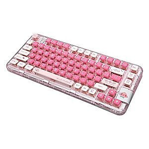 Heayzoki Wireless Mechanical Keyboard, Type C Wired Keyboard, BT 3 Mode Custom Hot Swappable Noise Reduction Gaming Keyboard with RGB Backlight 2 Layer Keycaps for iOS