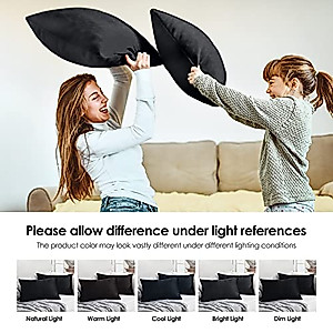 Homelike Moment Throw Pillow Covers 12x20 Set of 2, Black Velvet Decorative Couch Pillow Cover Soft Lumbar Cushion Cases for Sofa Bed Car (12x20 Inch, Black)