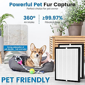 KJ190L Fil-ter Replacement Compatible with MOOKA KJ190L Air Puri-fier 3 Stage 2 H13 True HEPA and 4 Washable Pre-Filtes (2+4)