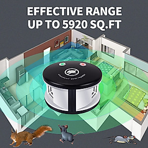 Careland Squirrel Repellent Rodent Repellent, 360°Mouse Ultrasonic Plug in Pressure Wave Pest Deterrent Control Chaser Squirrels Mouse Mice Rats and Other Rodents for Indoor Use Black-1,361N