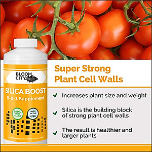 Liquid Silica Boost Fertilizer and Supplement by Bloom City, 1/2 Pint (8 oz) Concentrated Makes 45 Gallons