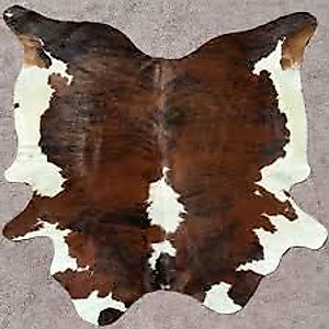 Small Tricolor Brazilian Calf Skin Calf Hide Exotic Cowhide Rug Tri Cow Hide Leather Cow Skin Area Rug Hair on - 4 ft X 3 ft Small