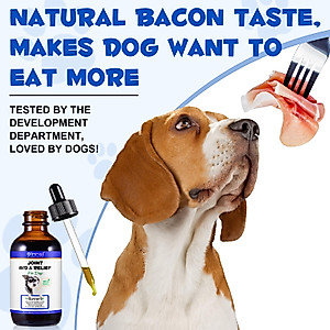 ALIVO Hip & Joint Glucosamine Drops for Dogs, Supports Joint Health, Dog Joint Pain Relief Treats - Enhances Mobility Support, Joint Supplement for Dogs, Bacon Flavor - 60ml / 2 fl.oz