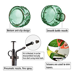 XXXFLOWER Glass Plant Mister Spray Bottle for Indoor Plant Spritzer Succulent Watering Bottle