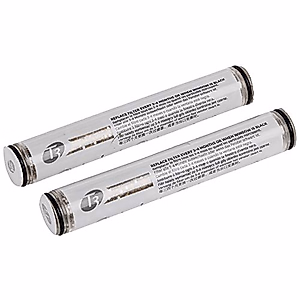 T3 Source Hand-Held Showerhead Replacement Water Filter (Pack of 2)