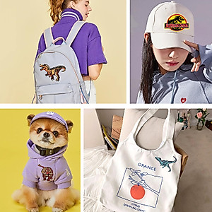 15Pcs Dinosaurs Iron on Patches Embroidered Fabric Stickers Realistic Dinosaur Pattern Sewing Patches DIY Appliques for Kids Teens Embroidered Applique Patches for T-Shirt Clothes Bags Hats