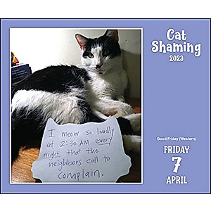 Cat Shaming 2023 Day-to-Day Calendar