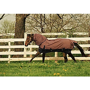 Turnout 1680D Horse Winter Waterproof with Neck Cover - Horse Blanket 003 - Size from 69" to 83" (78")