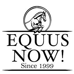 Tempest Original Horse Fly Sheet (White, 81")