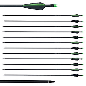 Sososhoot 12Pcs Archery 28" Fiberglass Arrows for Compound Bow Recurve Bow Hunting Target Practice