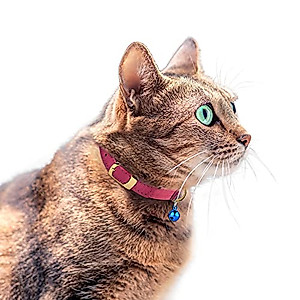 Murom Rolled Leather Cat Collar with Elastic Strap Safety Adjustable Pet Collars for Cats Kitten Yellow Red Pink Blue Orange Brown Gray (Brown)