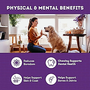 Treatly USA Collagen Twist Rolls 12-13" Dog Chew Treats - Natural Flavor, 4 Count/1 Pack