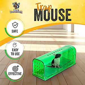 4 Pack Humane Mouse Trap with Easy Release Door, Catch and Release Mouse Traps for Small Spaces, Reusable, No Kill Mouse Traps, Humane Mouse Traps Indoor for Home