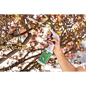 Donaldson Farms Carpenter Bee Killer Spray for Insects All Natural Foaming Spray, 16 oz