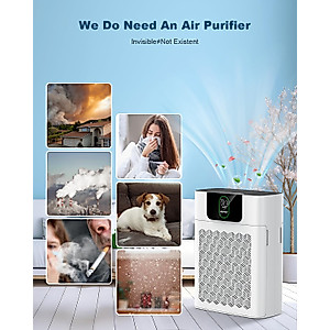 WESTHEY Official Genuine HY4866 Replacement Filter TRUE HEPA Filter, Four-layer high-efficiency purification filter Suitable for WESTHEY HY4866 Air Purifier, Pet Filter 2 PCS